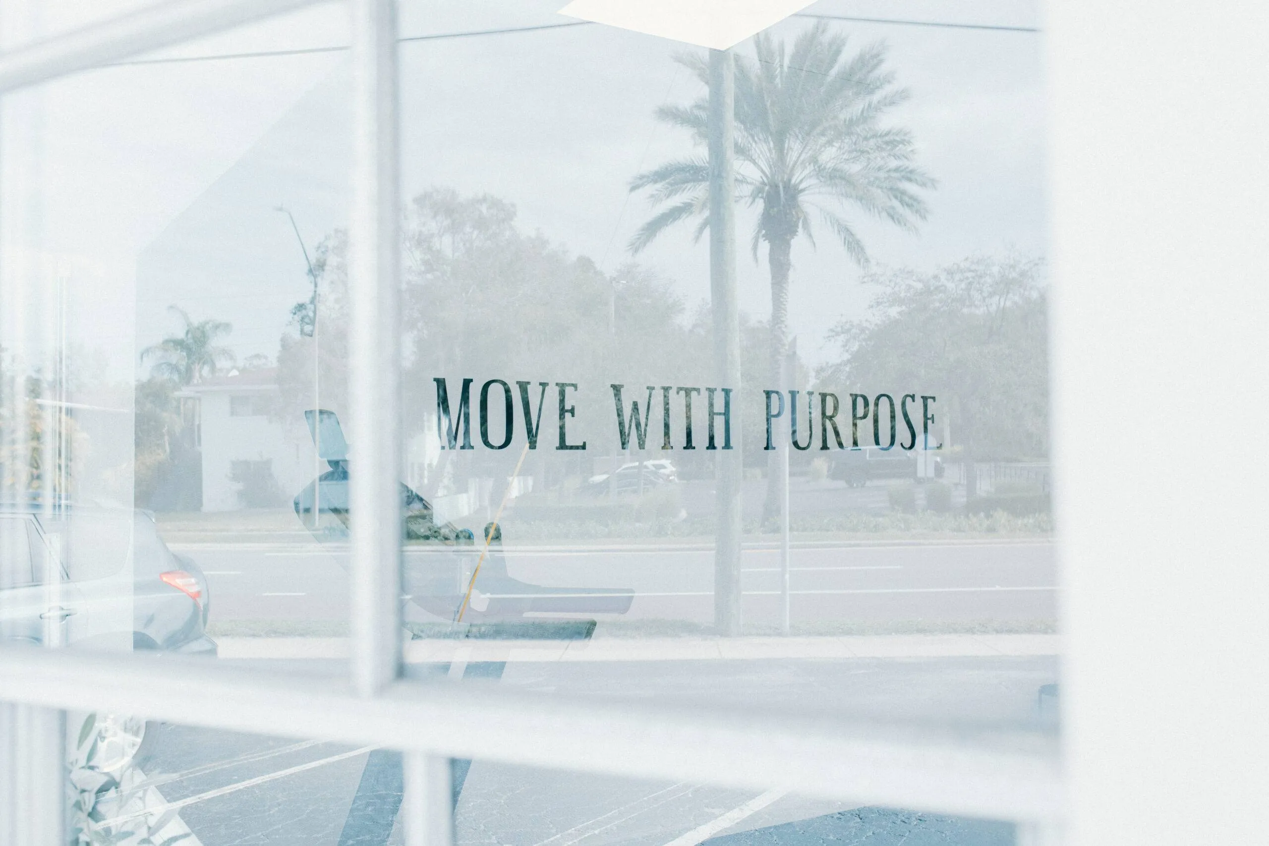 St. Pete Spotlight Series - Purpose Physical Therapy